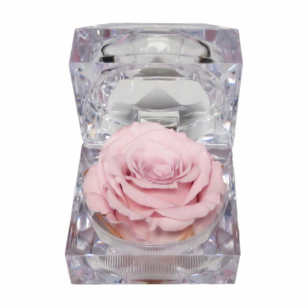 Joyero Con Rosa Preservada Natural Surtido ROSE AMOR Unidad - Supermaxi